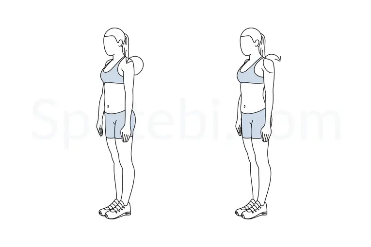 Shoulder Roll Exercise - Benefits, How to do?, Muscle Worked
